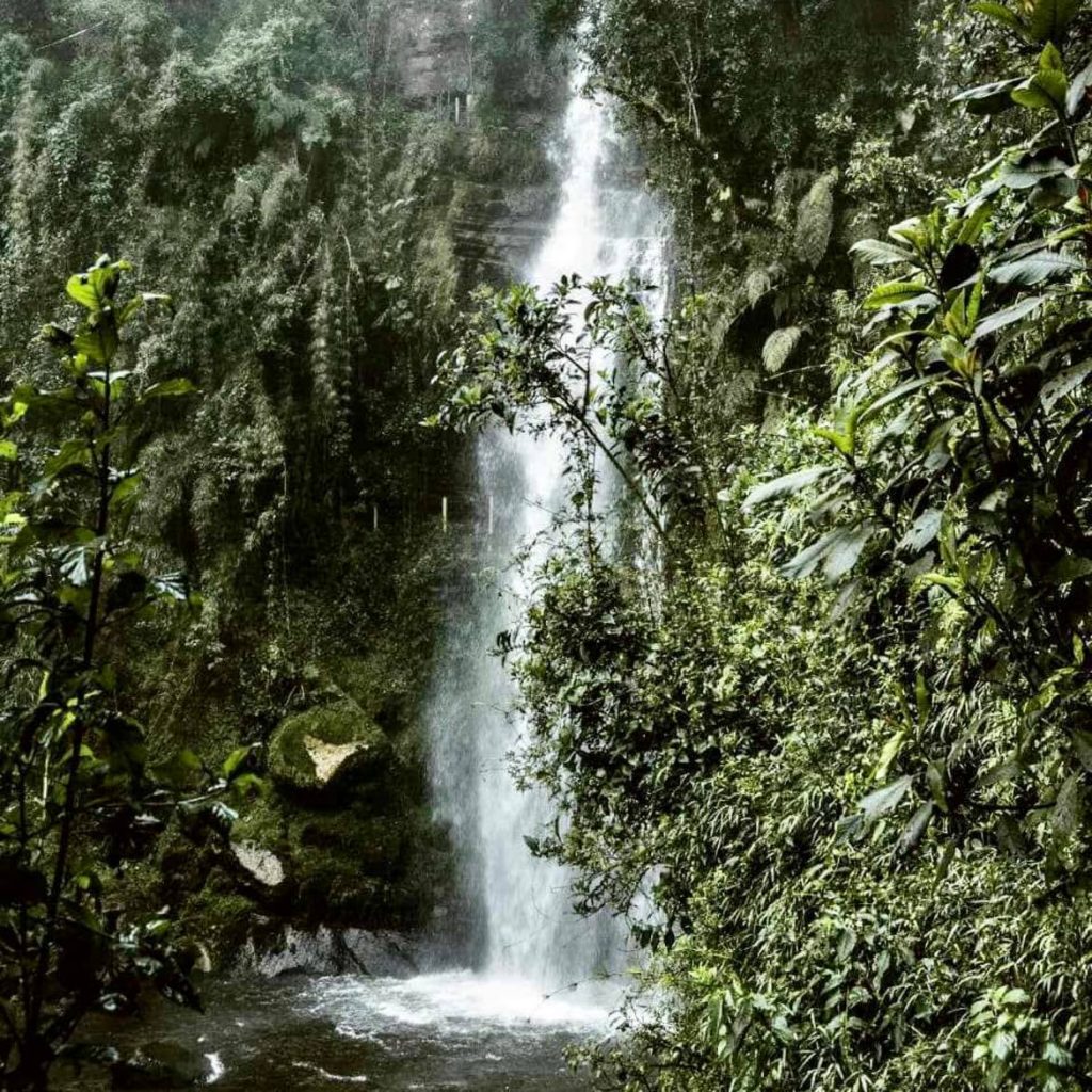 Caminata Rocas de Suesca – EL GRAND TOUR