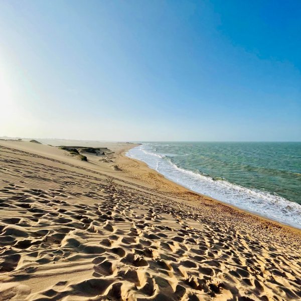 Experiencia Encanto Amazonas – EL GRAND TOUR