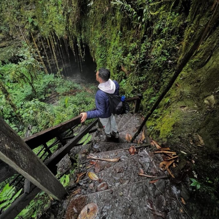 Tour Bosques de Pandora y Cavernas en Santander – EL GRAND TOUR